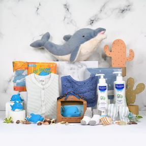 初生BB禮物籃 - Gift Hampers HK