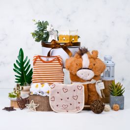 Cozy Comfort Baby Hamper Gift Set - Gift Hampers HK